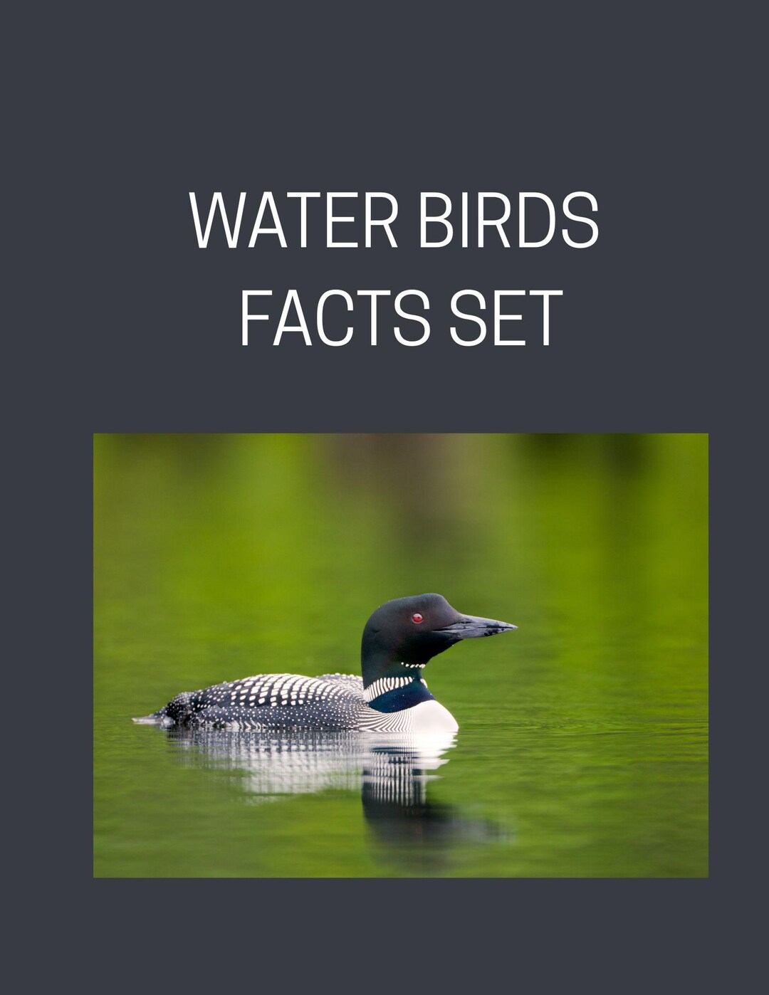 Water Birds Fact Sheets Printable | Swan Goose Duck Pelican Heron Loon ...