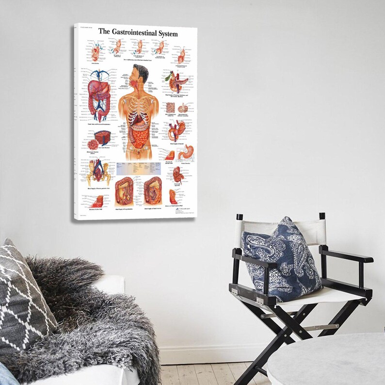 The Gastrointestinal System Chart Canvas Wall Art Poster Picture Print ...