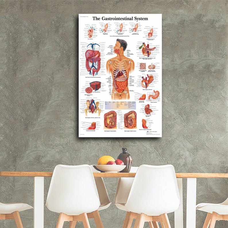 The Gastrointestinal System Chart Canvas Wall Art Poster Picture Print ...