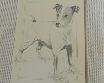 Jack russell drawing | Etsy