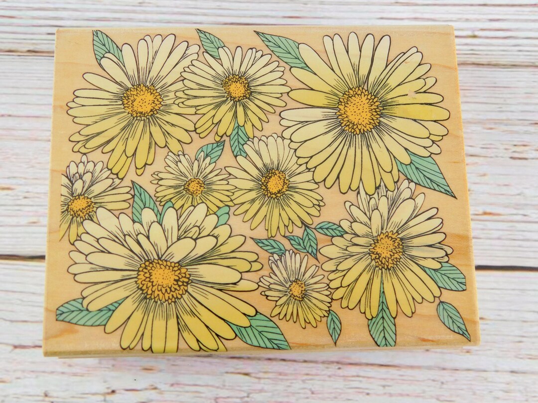 Daisy Rubber Stamp - Daisy Background - Daisy Portrait - Hero Arts ...