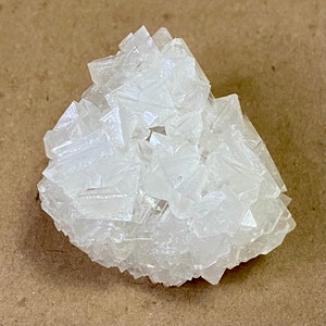 Fluorescent Glow Alum Crystal Kit - Perfect Kids Stocking Stuffer ...