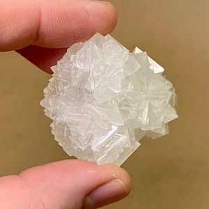 Fluorescent Glow Alum Crystal Kit - Perfect Kids Stocking Stuffer ...