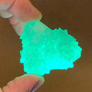 Fluorescent Glow Alum Crystal Kit - Perfect Kids Stocking Stuffer ...