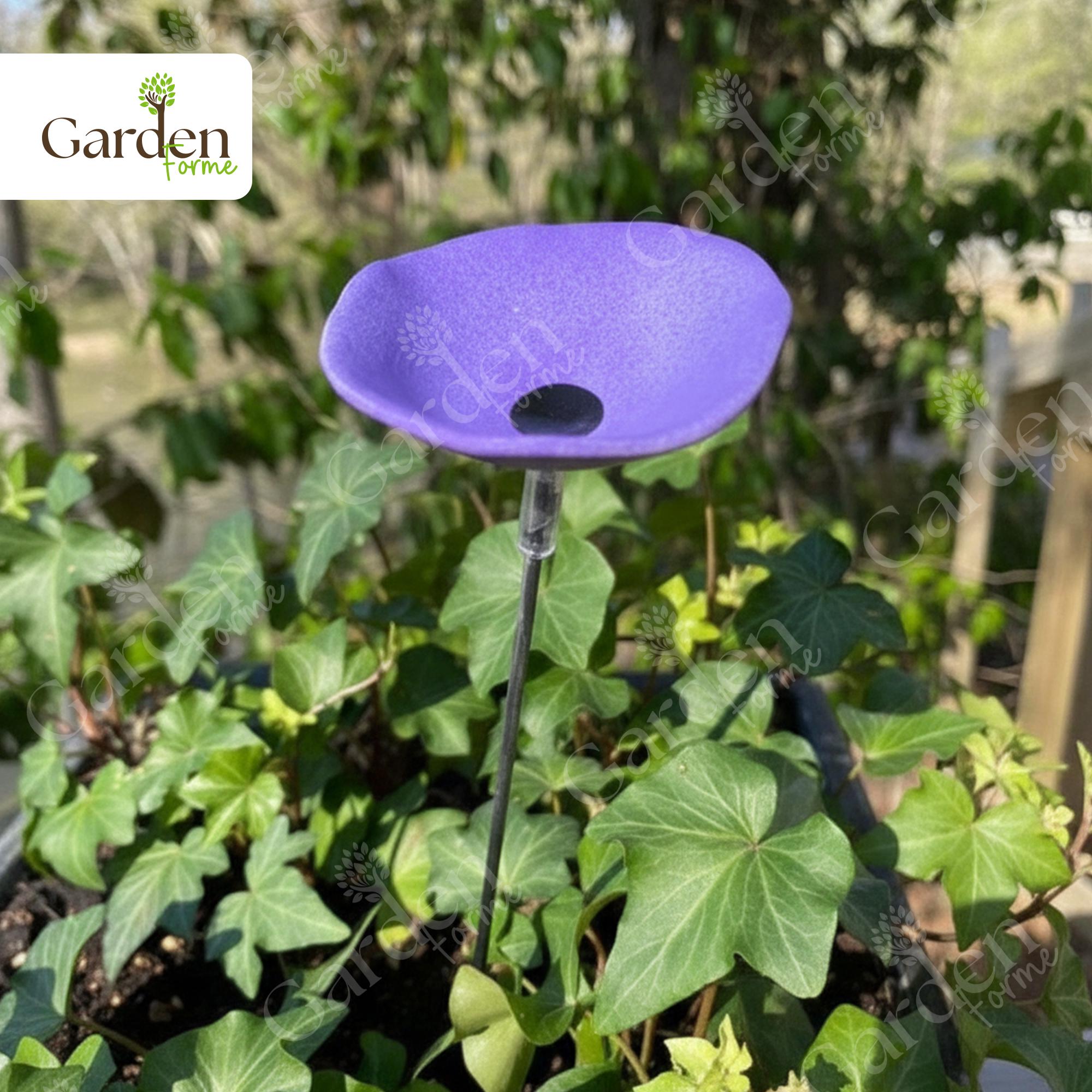 Bee & Butterfly Watering Station, Butterfly Puddler for Garden, Insect ...