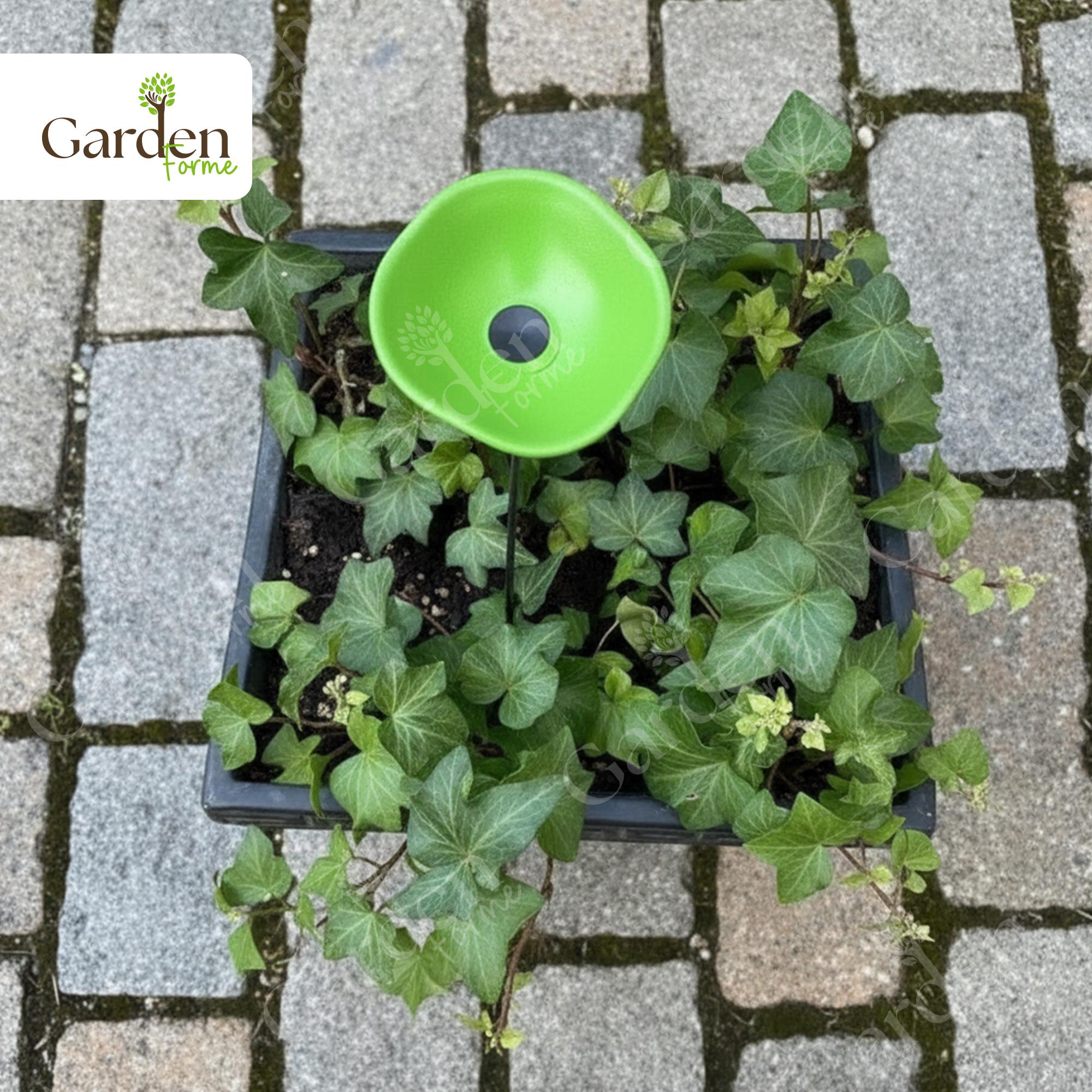Bee & Butterfly Watering Station, Butterfly Puddler for Garden, Insect ...