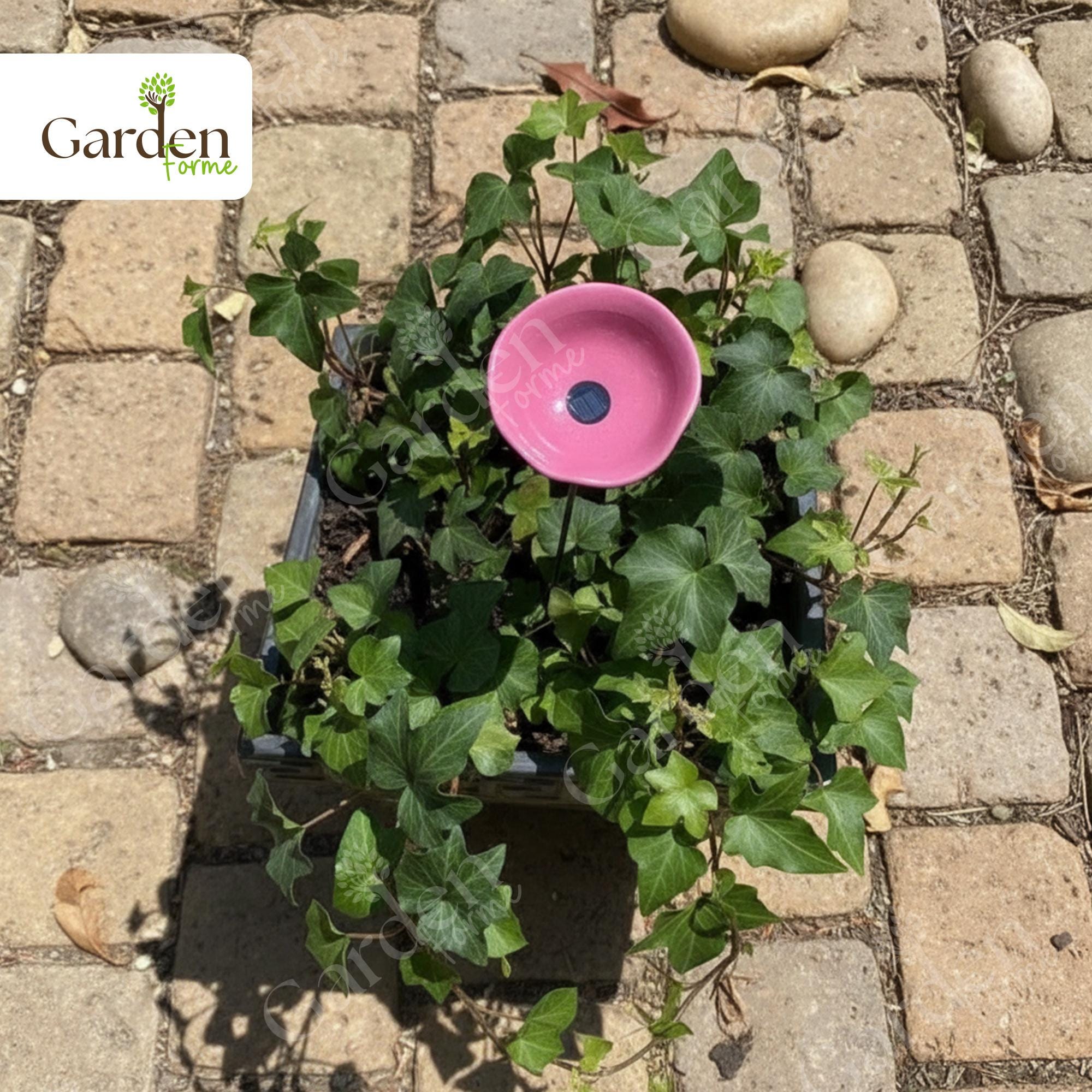 Bee & Butterfly Watering Station, Butterfly Puddler for Garden, Insect ...