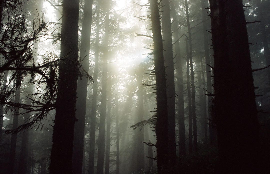 Misty Light Rays at Cape Lookout - Etsy