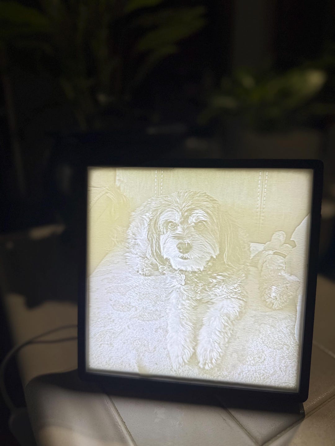 Light Box Lithophane Pictures With Any Image of Your Choosing. - Etsy