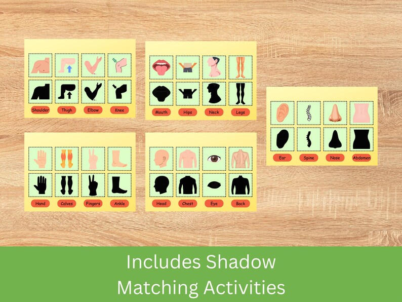 Human Body Parts Shadow Matching Activity Worksheets Science Printable ...
