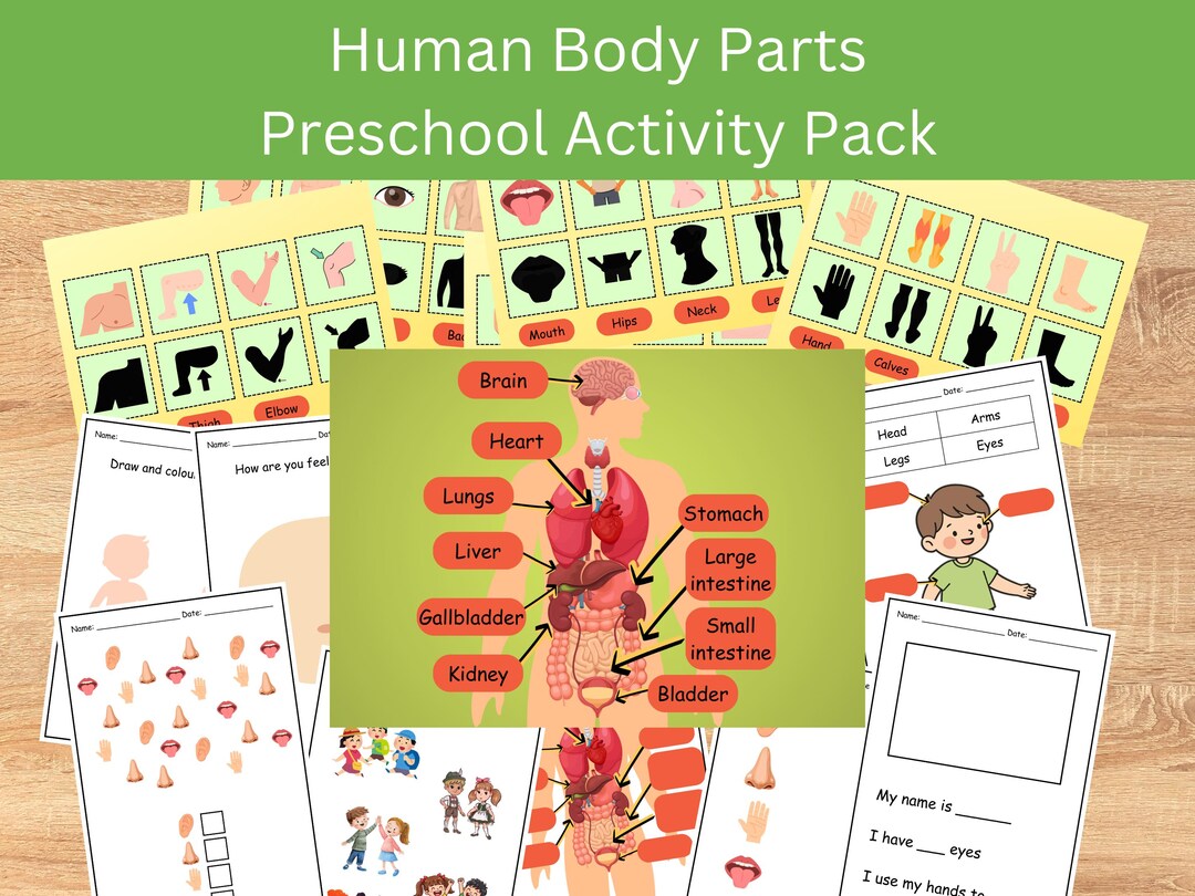 Human Body Parts Shadow Matching Activity Worksheets Science Printable ...