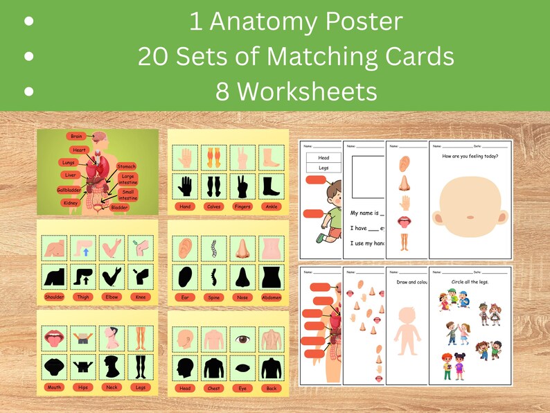 Human Body Parts Shadow Matching Activity Worksheets Science Printable ...