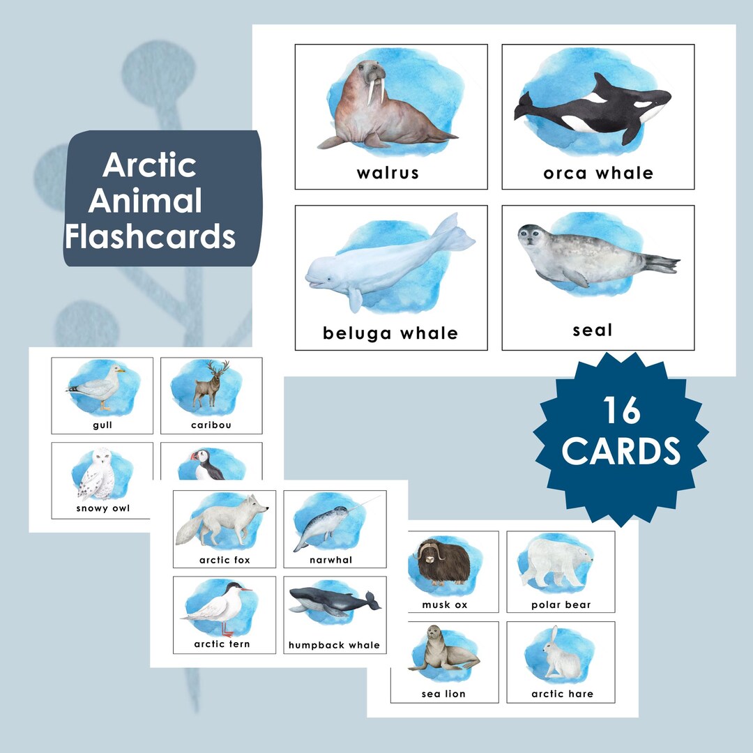Arctic Animal Flashcards Montessori Polar Animal Cards Homeschool ...