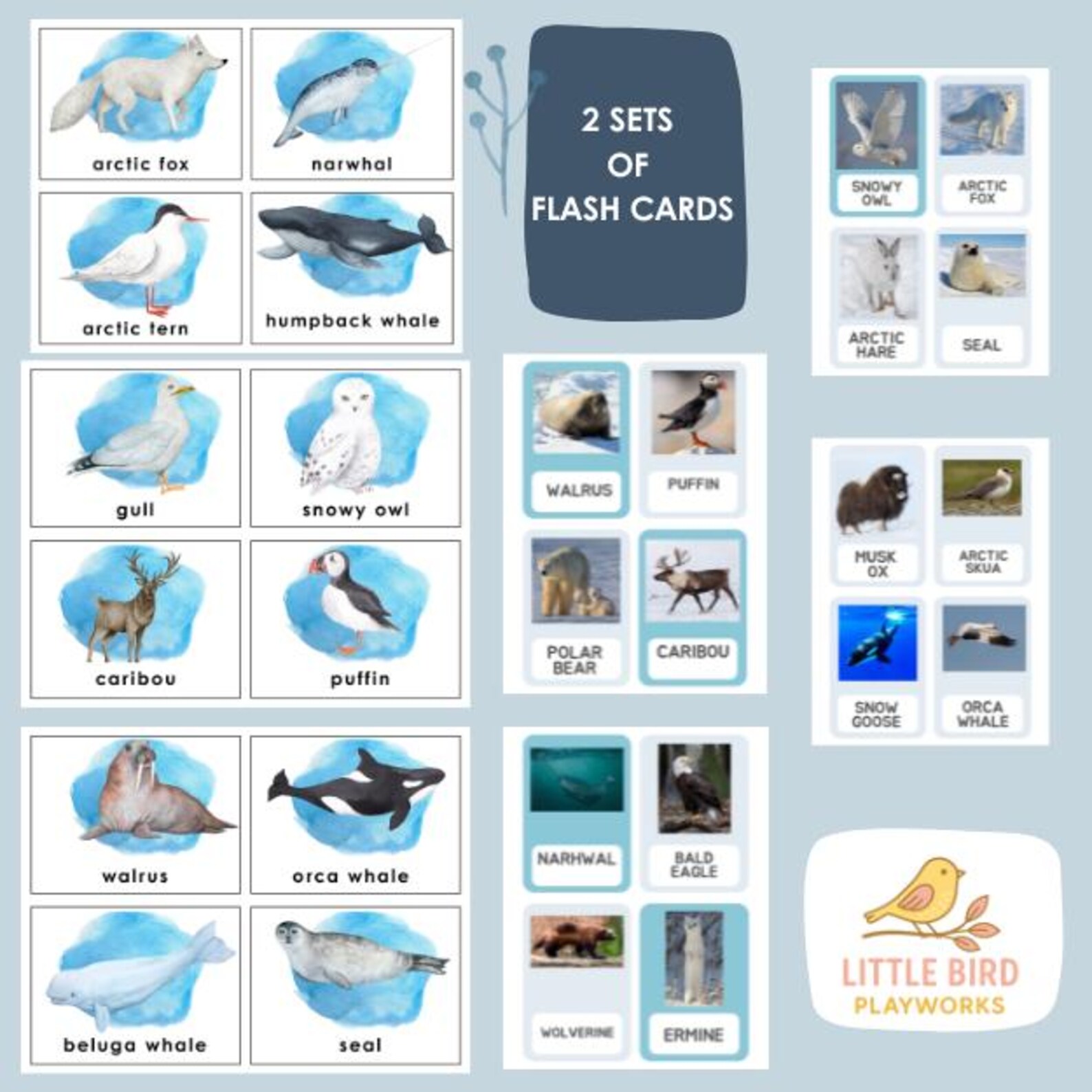 Arctic Animals Unit Study Homeschool Learning Materials Educational ...