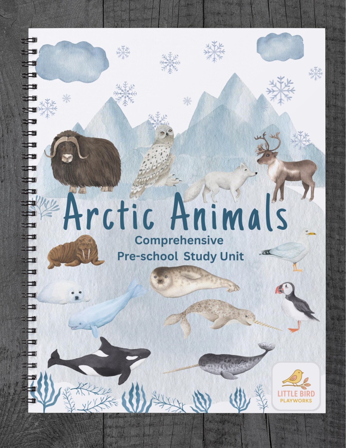 Arctic Animals Unit Study Homeschool Learning Materials Educational ...