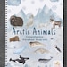 Arctic Animals Unit Study Homeschool Learning Materials Educational ...