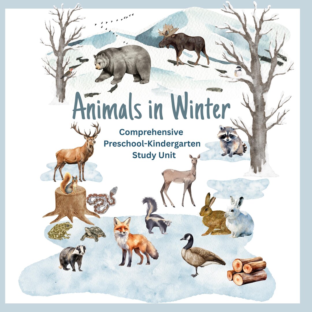 Animals in Winter Unit Hibernation Lessons Homeschool Hibernation ...