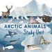 Arctic Animals Unit Study Homeschool Learning Materials Educational ...