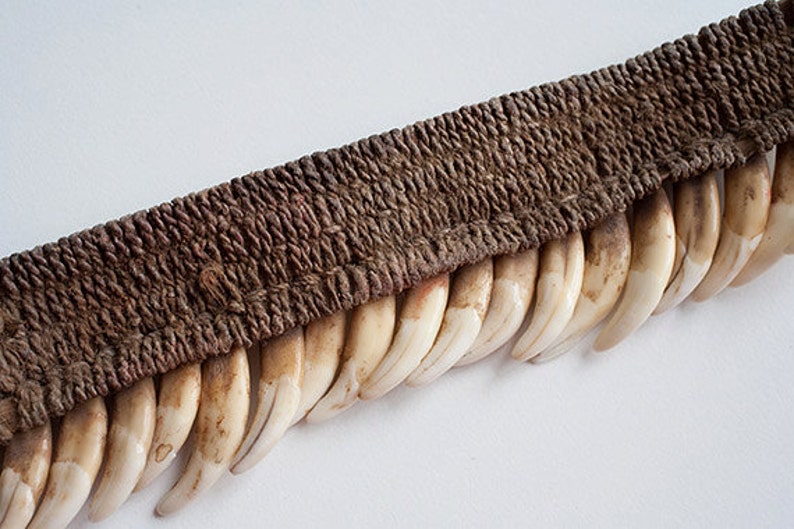 Dog Tooth Necklace From Papua New Guinea Ethnic Artifact Mid 20th ...