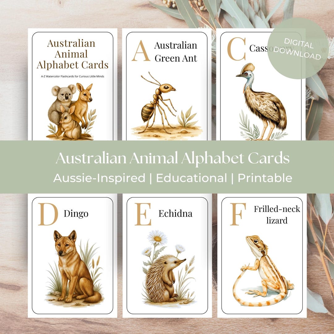 Australian Animal Alphabet Flashcards: Watercolor Aussie Wildlife (PDF ...