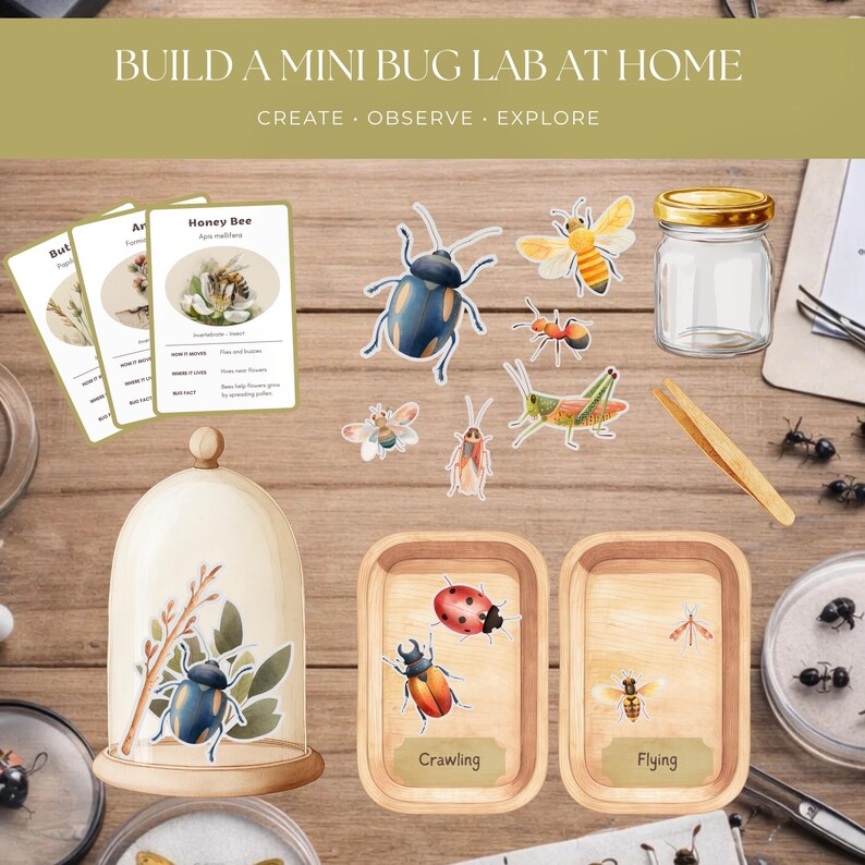 Bug Explorers Play and Learn Pack, Dramatic Play and Preschool ...