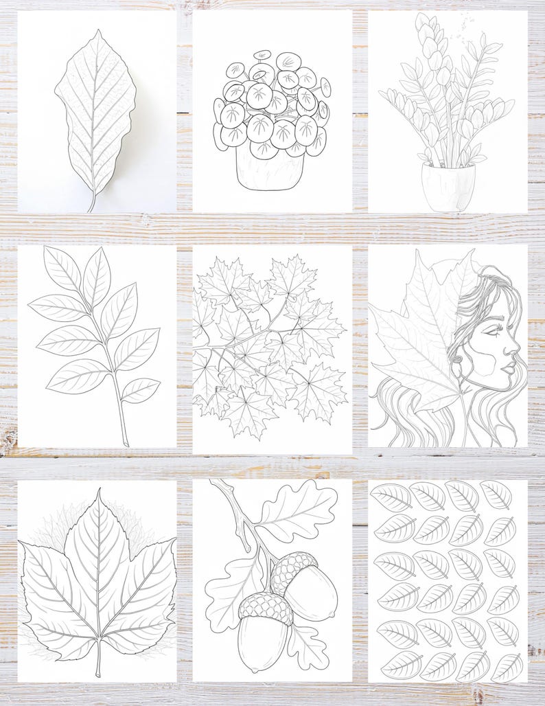 Fall Leaf Coloring Pages, Leaf Color Page - Etsy
