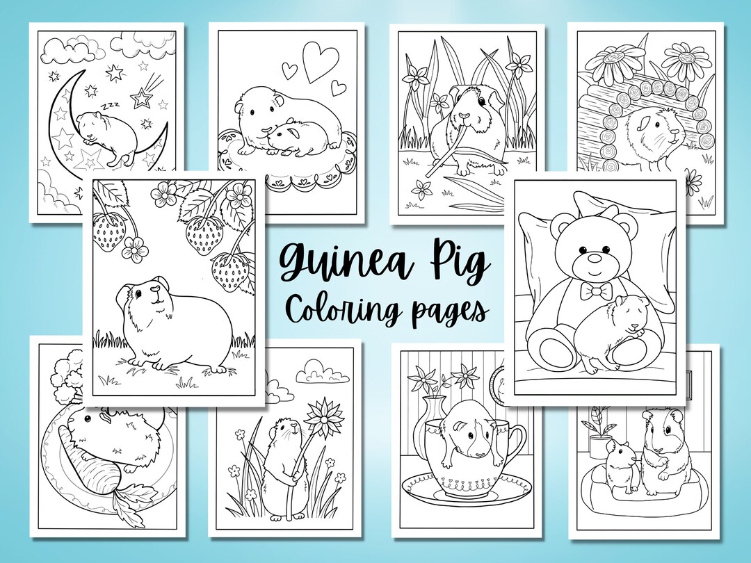 Guinea Pigs Coloring Pages, Easy Coloring Pages, Kid’s Coloring Pages ...