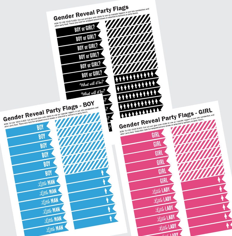Baby Gender Reveal Party Flags Printable PDF - Etsy