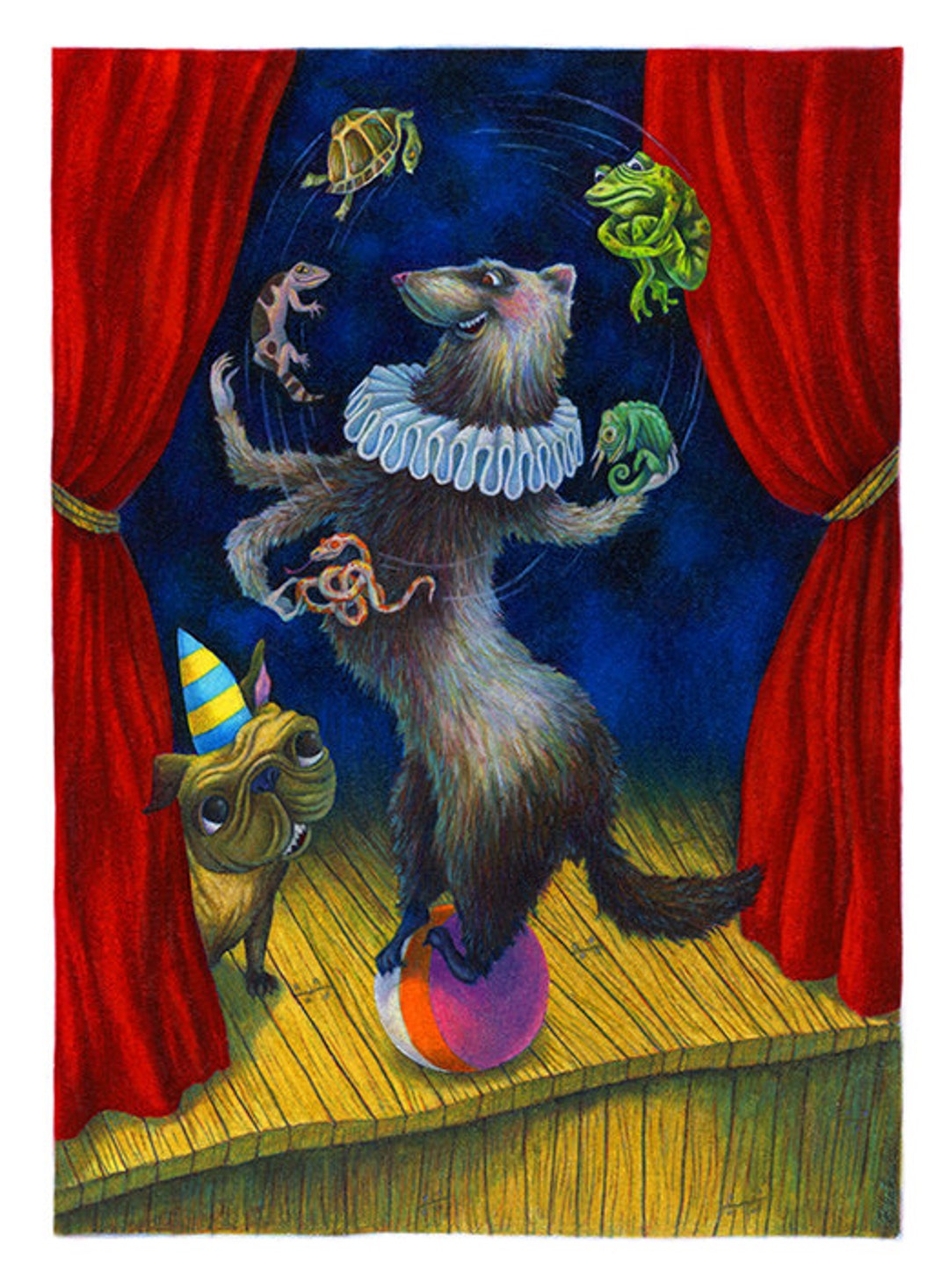 Ferret Juggler - Drawing of a Ferret Juggling Amphibians and Reptiles ...