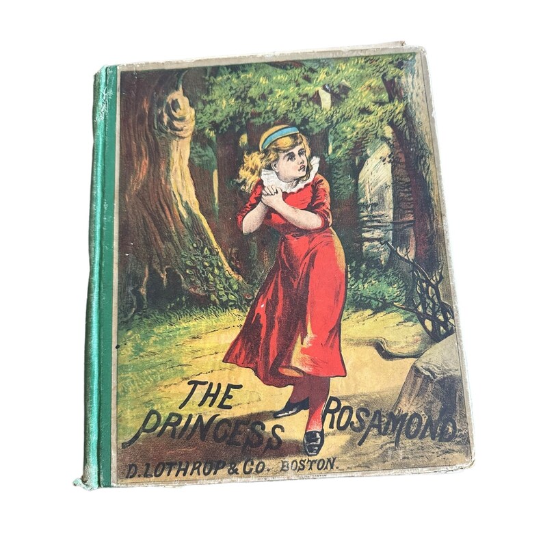 Antique Book the Princess Rosamond - Etsy