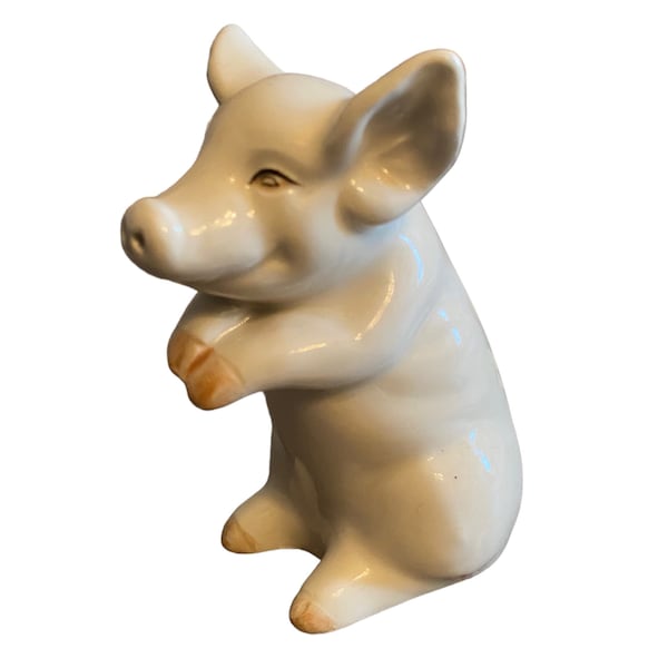 Pig Salt Shaker - Etsy