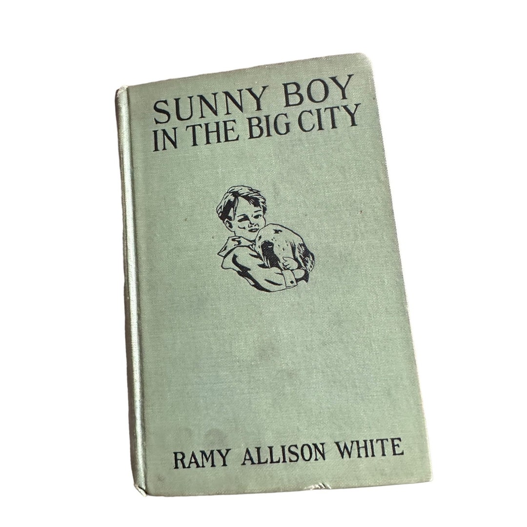 Vintage Book Sunny Boy in the Big City by Ramy Allison White - Etsy