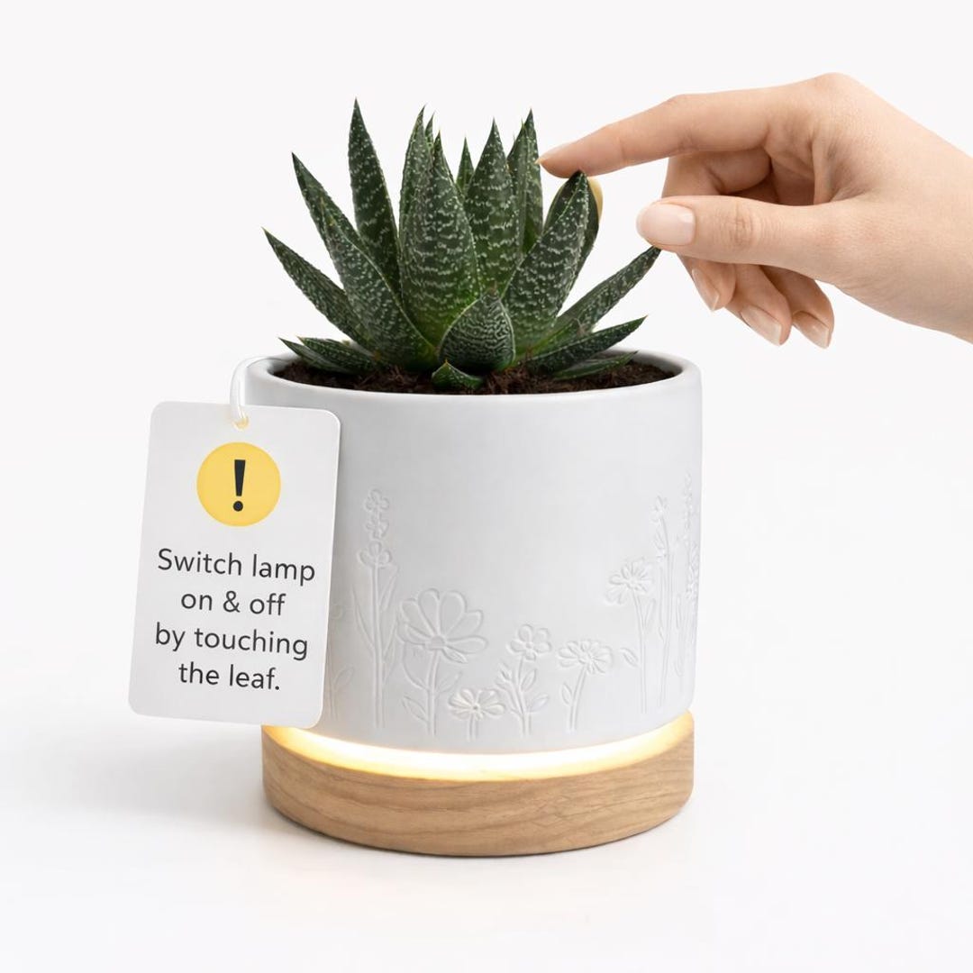 Magic Plantern Touch Lamp