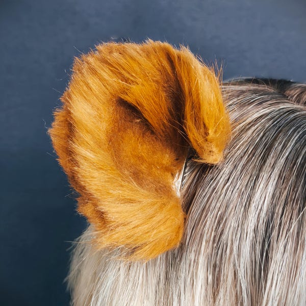 Realistic Lion Ears - Etsy