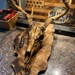 Custom Deer Head Mount With Lights - Etsy
