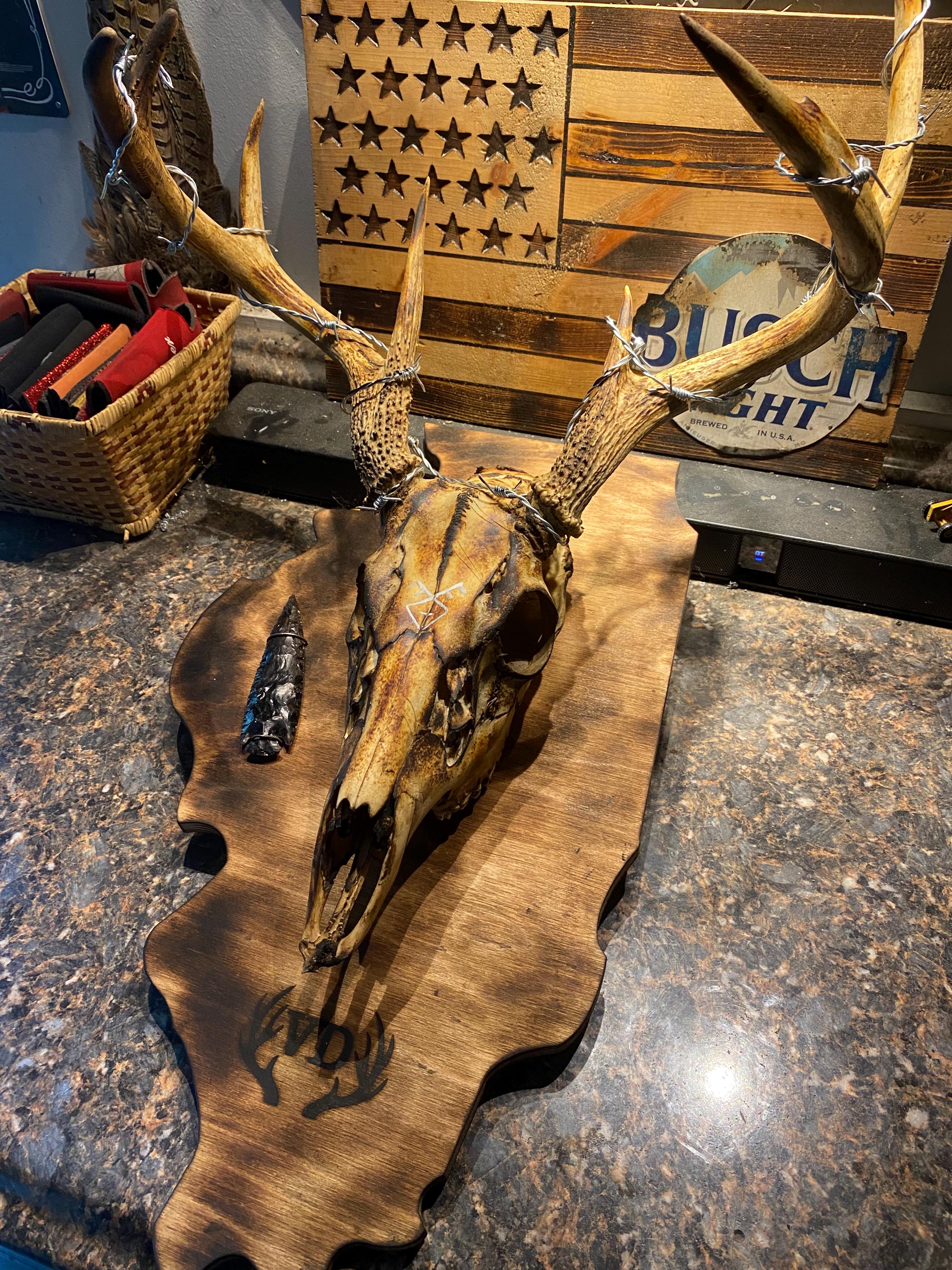 Custom Deer Head Mount With Lights - Etsy