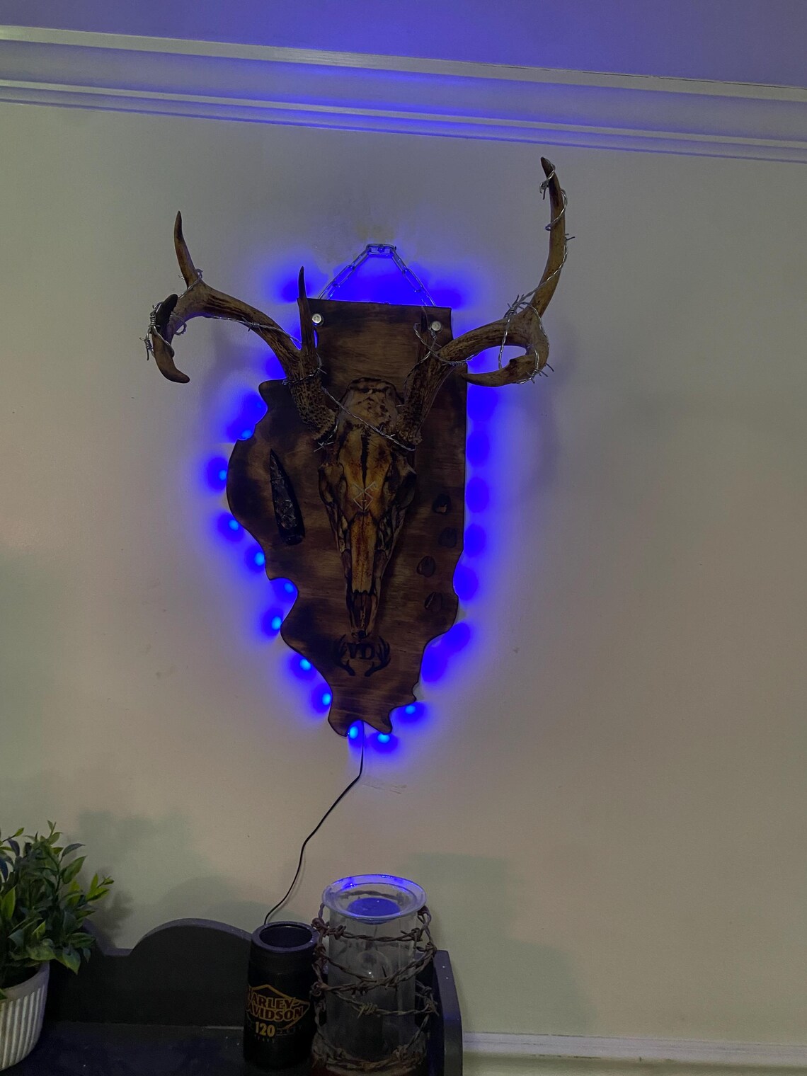 Custom Deer Head Mount With Lights - Etsy