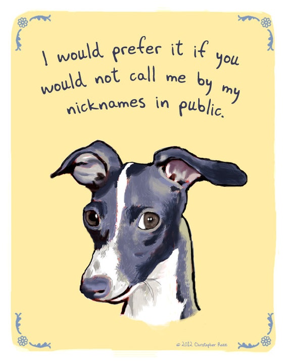 Famous Greyhound Quotes