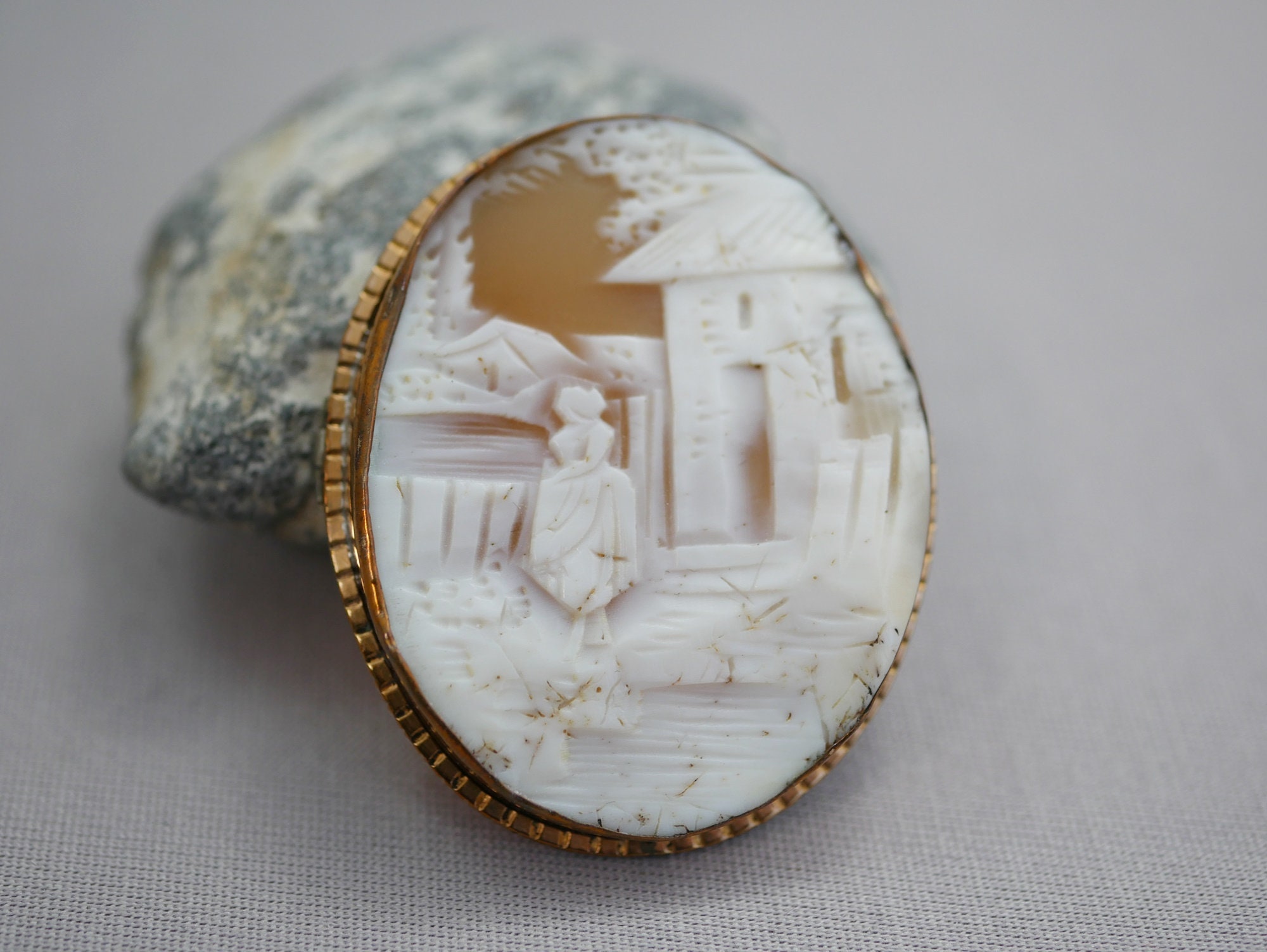 Antique Carved Shell Cameo Pin Brooch Italian Carved Shell Gold Filled ...