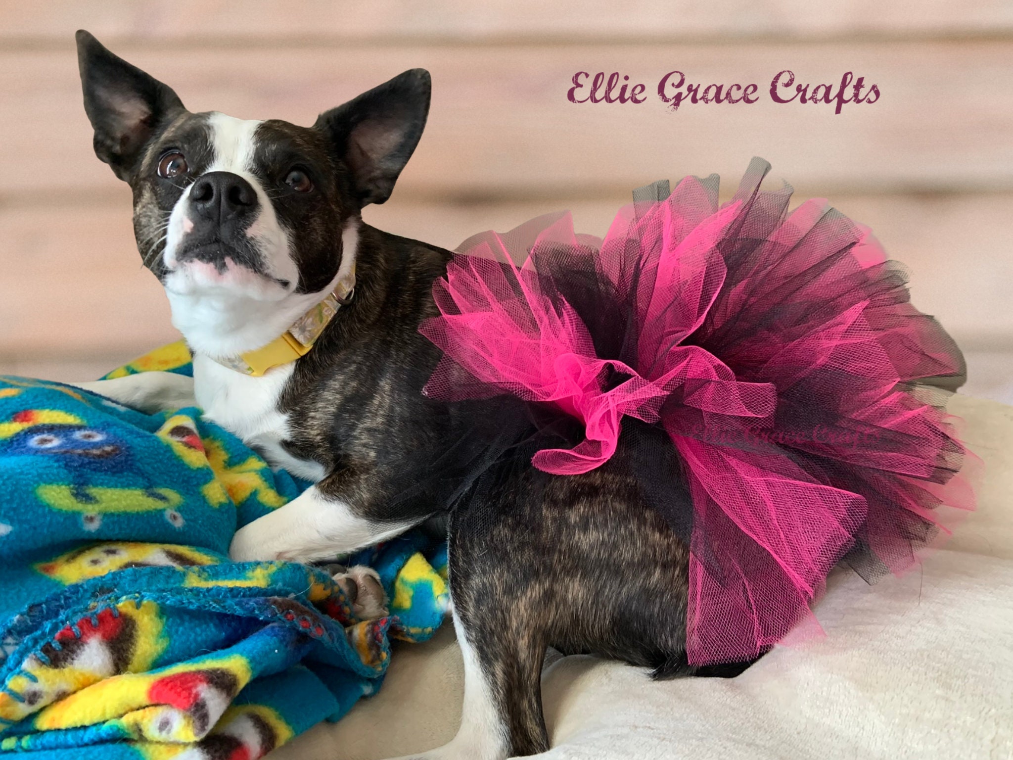 Dog Tutu: Custom Dog Tutu Small Medium Large XL You | Etsy