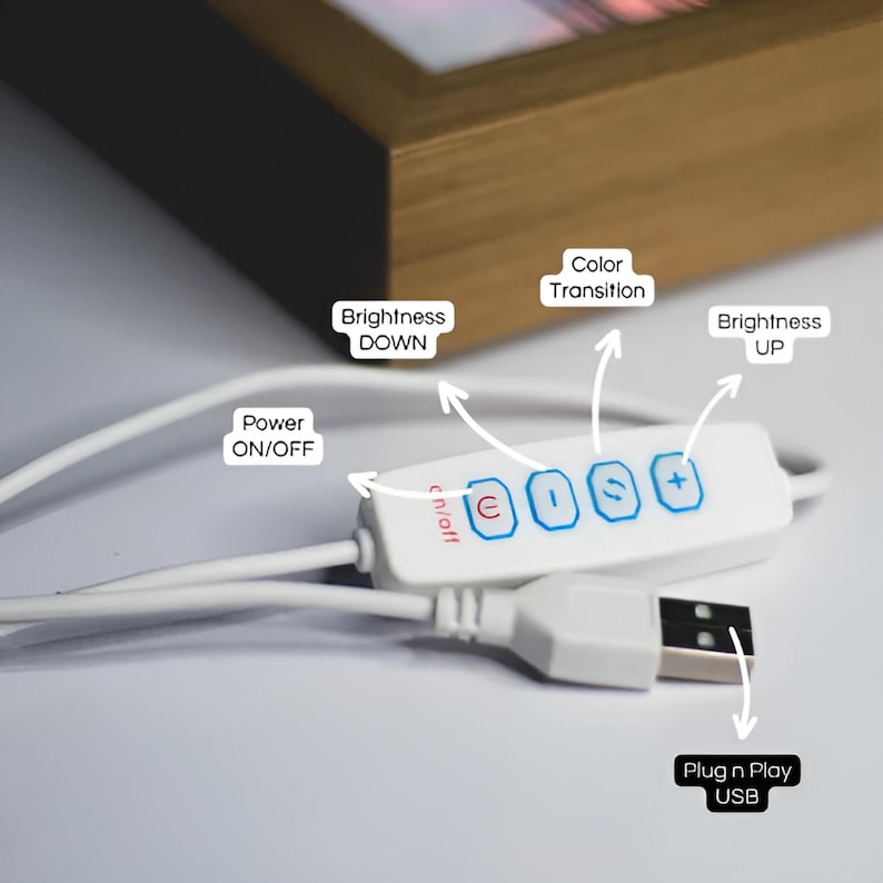 Light Box - Solo Leveling LED Anime Lamp, Large - Etsy