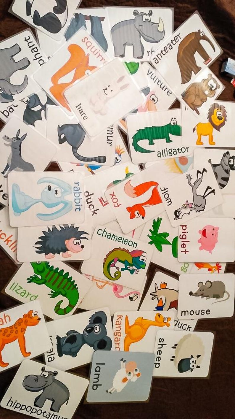 120 Animal Vocabulary Flashcards (signed and Unsigned). Printable PDF ...