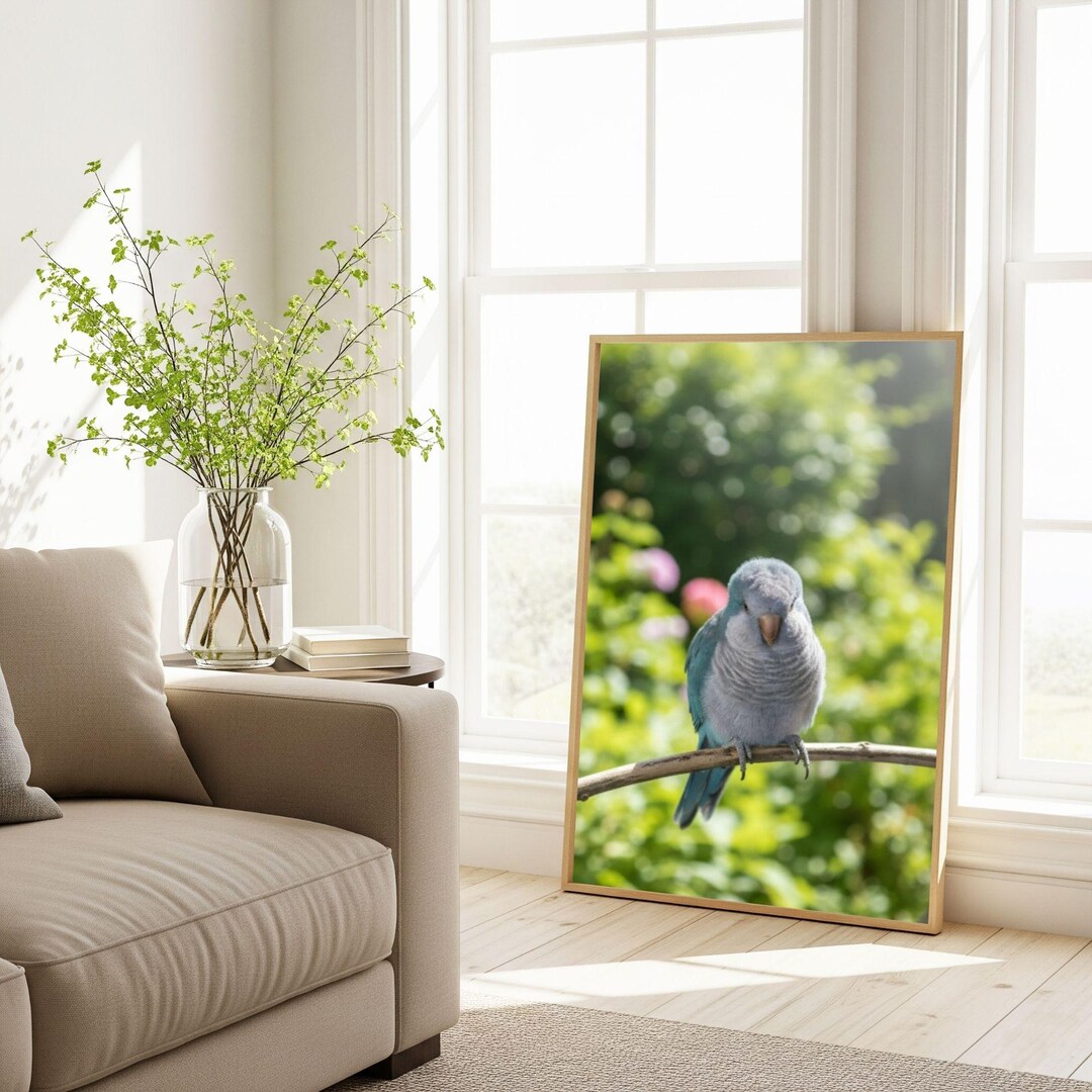 Quaker Parrot Portrait – Bird Portrait for Modern Home Decor - Etsy