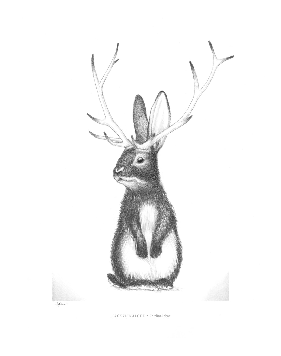 Jackalope Art, Jackalope Drawing, Jackalope Print, Bunny Rabbit With ...