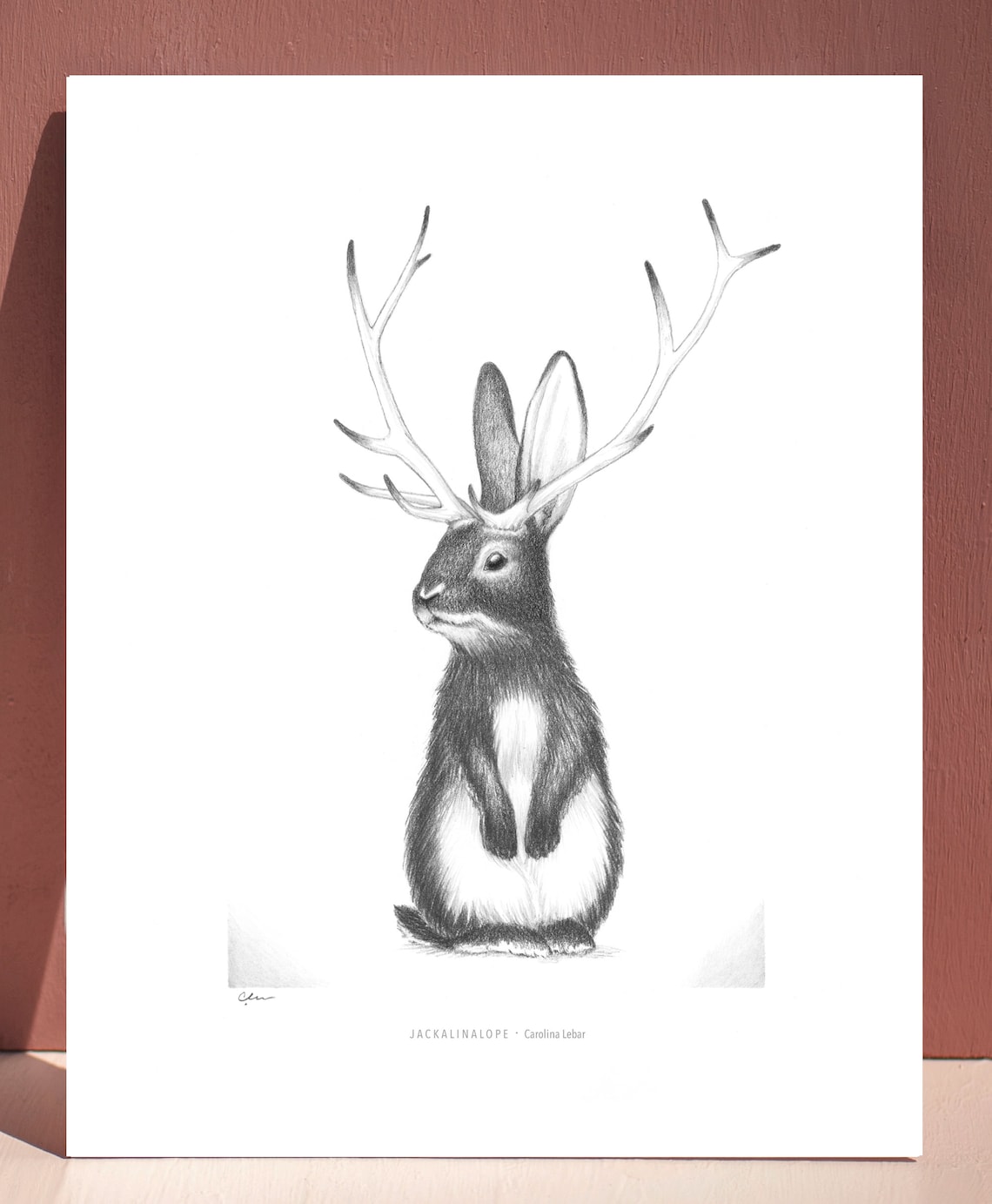 Jackalope Art Jackalope Drawing Jackalope Print Bunny - Etsy