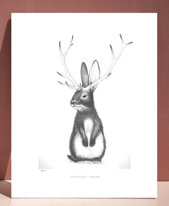 Jackalope Art