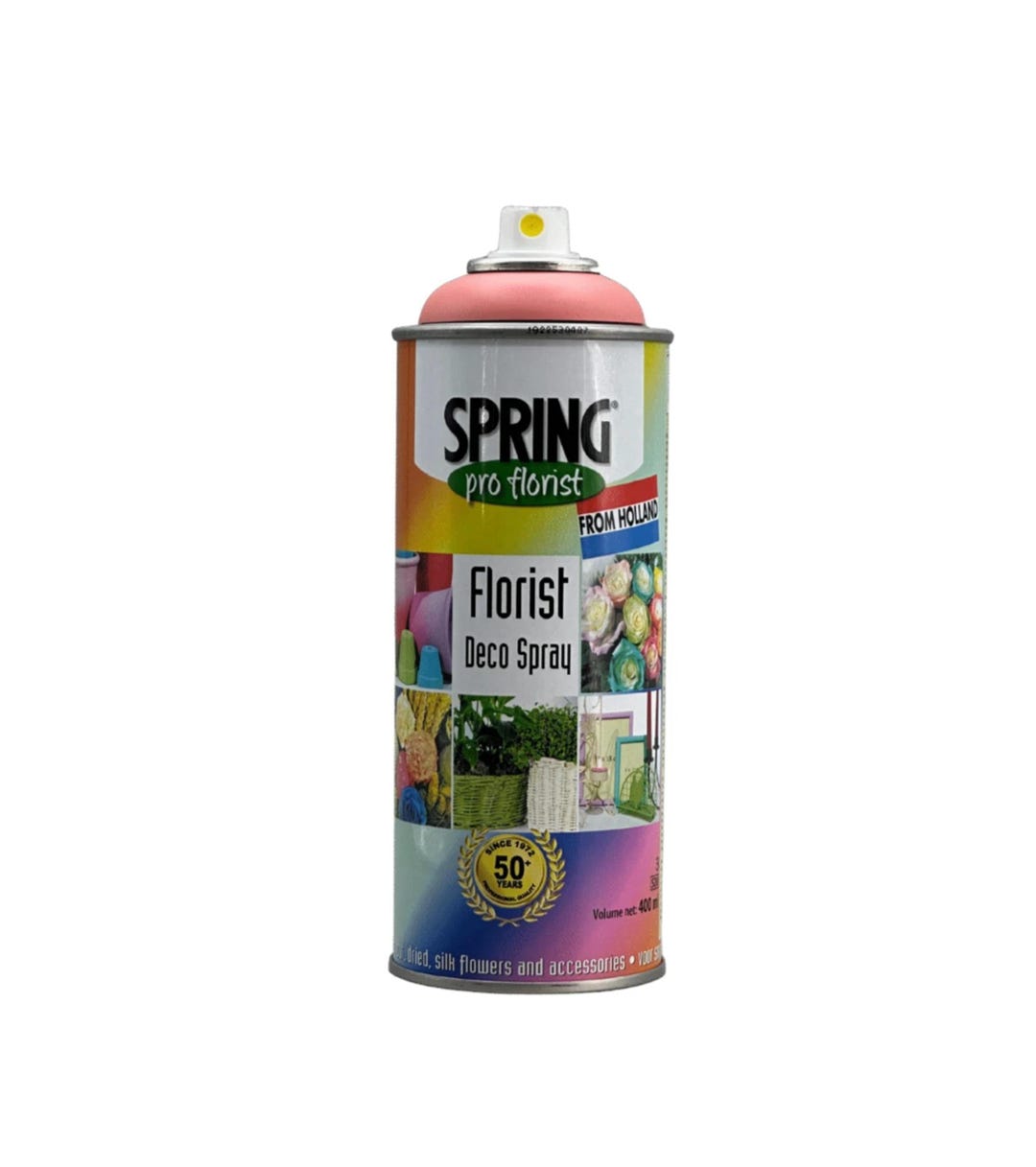 Rose Color Floral Spray Paint, Fresh/dried/silk Flowers, 400ml - Etsy