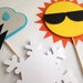 Weatherman Birthday Party Centerpiece Set, Centerpiece Set for ...