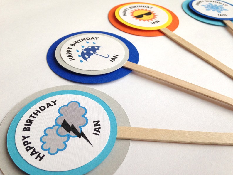 Weather Themed Birthday Cupcake Toppers Weather Icons Cupcake - Etsy