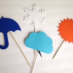 Weatherman Birthday Party Centerpiece Set, Centerpiece Set for ...